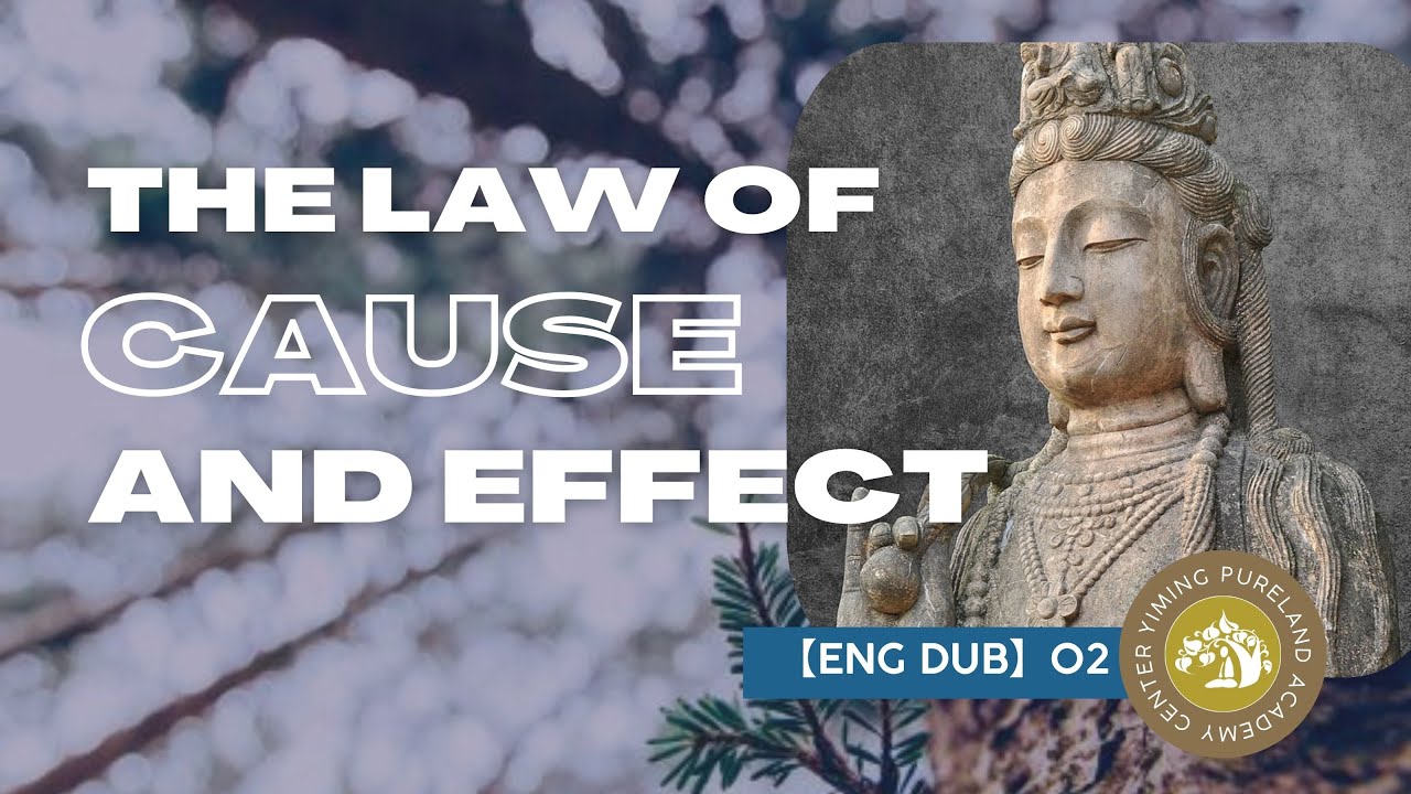 【ENG DUB】02 The Law of Cause and Effect 业因果报定理 #dharma #buddhism # ...