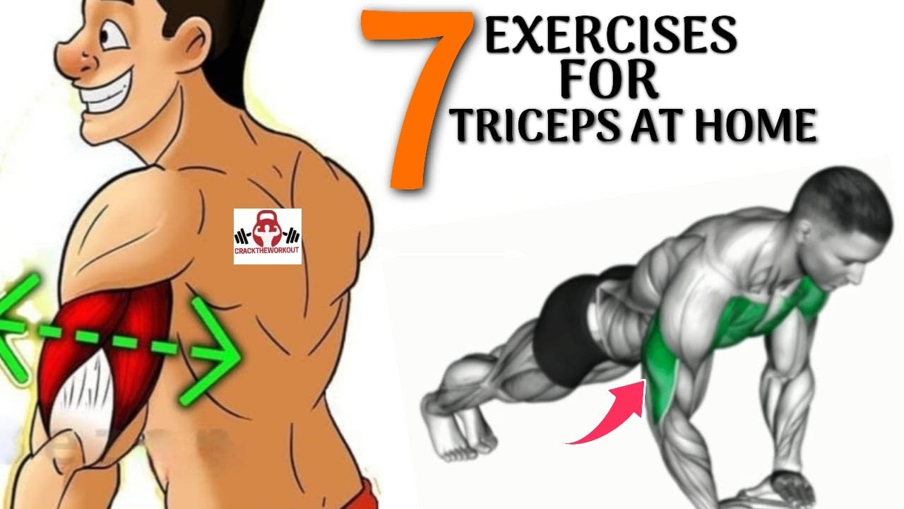 Full Triceps Workout At Home Without Equipment at Noah Marryat blog