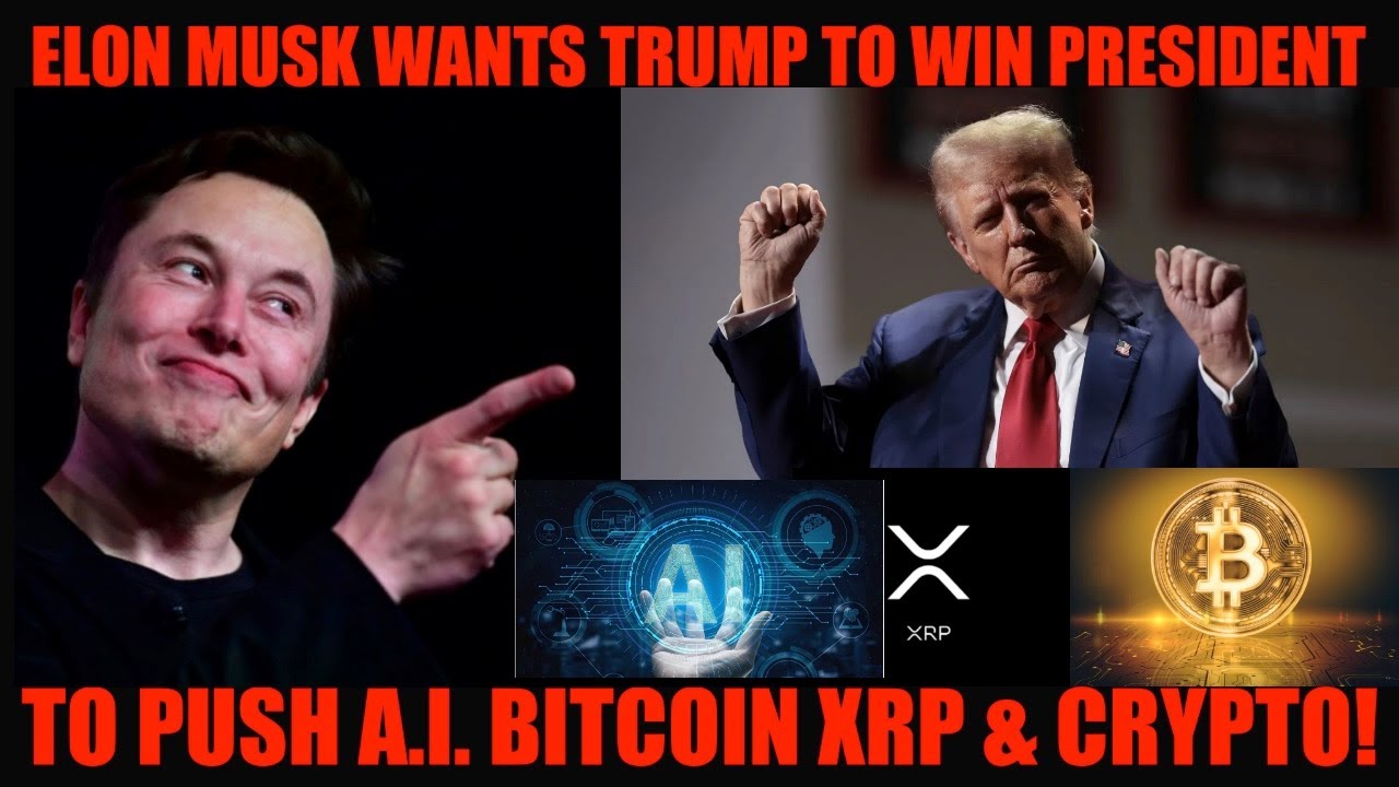 IT'S OVER! ELON MUSK WANTS TRUMP TO WIN PRESIDENT TO PUSH A.I. BITCOIN ...