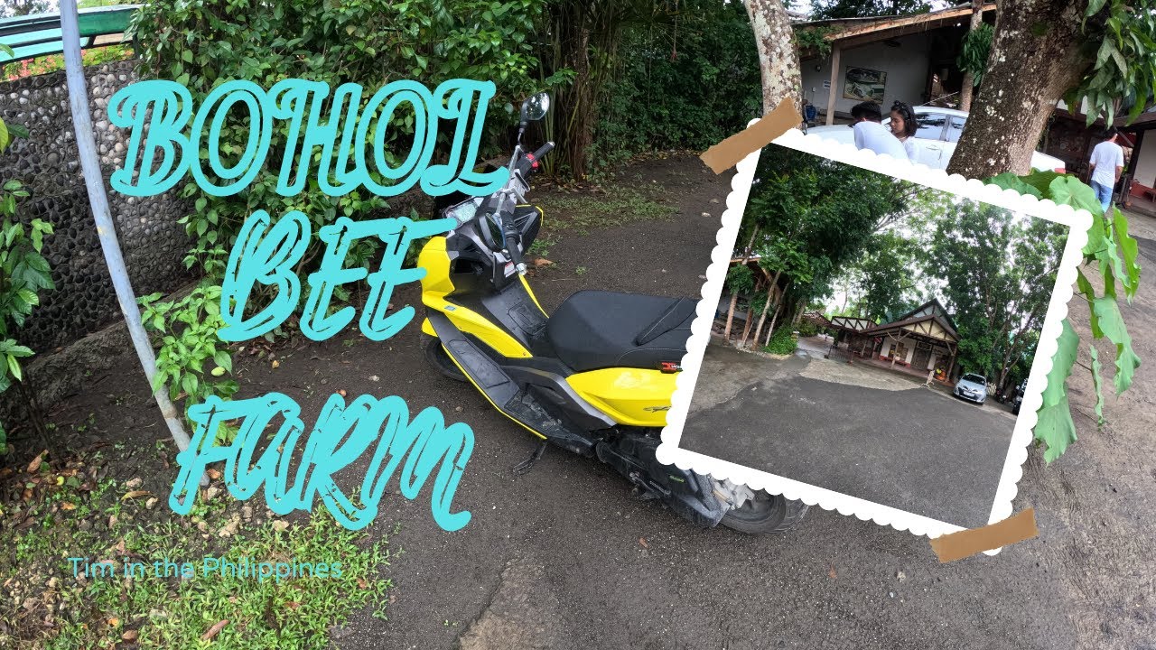Did YOU Know About the Incredible Bohol Bee Farm? - YouTube