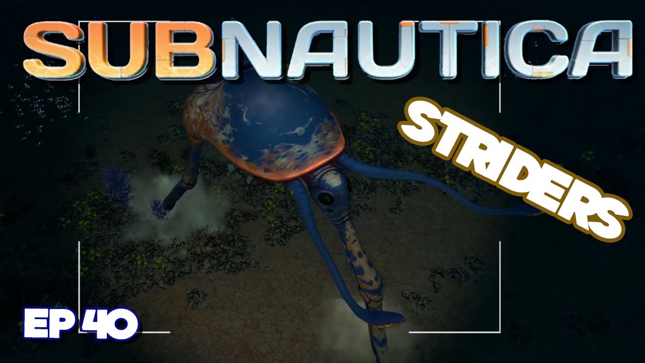 SUBNAUTICA | Striders | Ep 40 | Let's Play Subnautica - YouTube