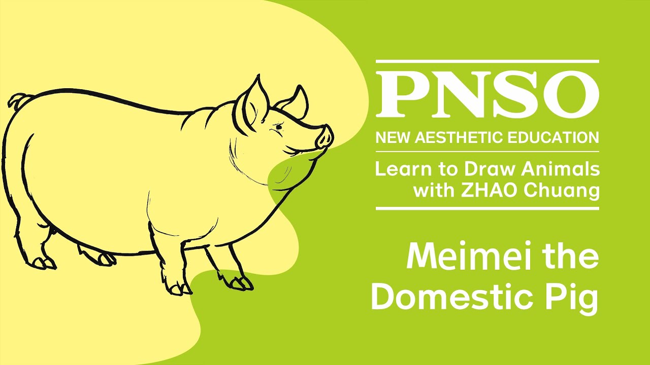 021 Meimei the Domestic Pig | Learn to Draw Animals with ZHAO Chuang ...