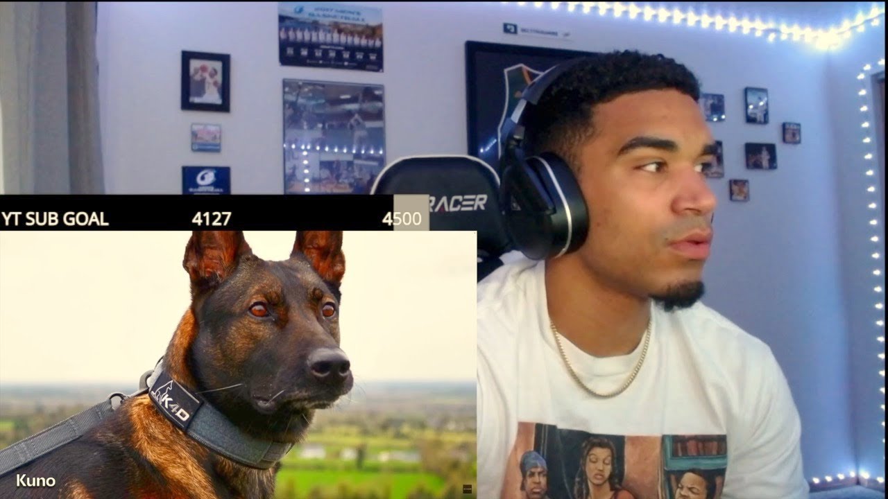 AMERICAN REACTS to The Actions of UK Special Forces dog: Kuno | April ...