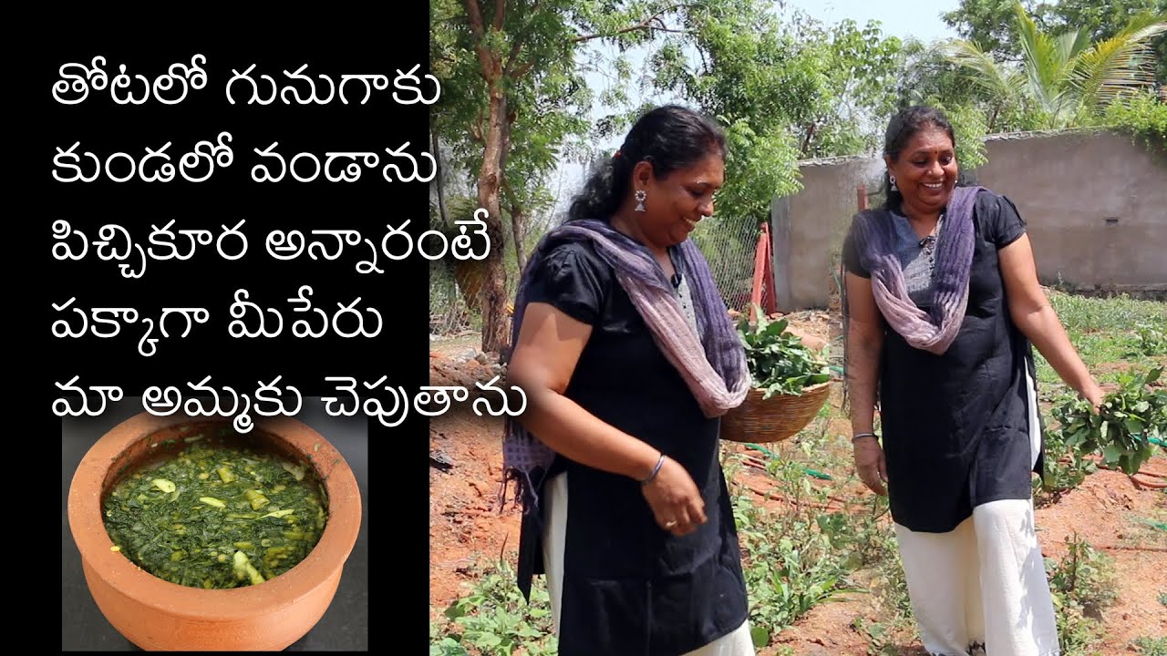 Gunugu Kura Medicinal Leafy Veg-Village Food/ Village cooking in Clay ...