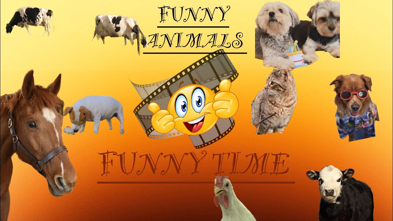 Cute Animals: Funny Sounds When They Roar, Bark, or Growl! - YouTube