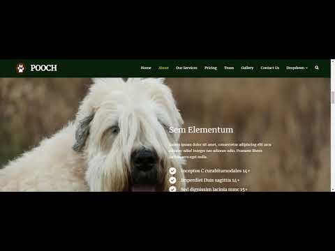 Pets Animals Responsive HTML Website Template - YouTube