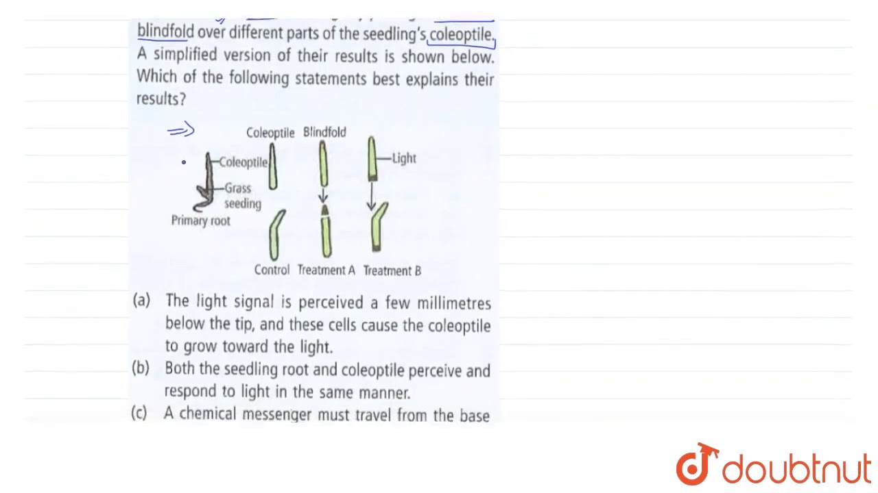 Charles Darwin and his son, Francis experimented with phototropism of ...