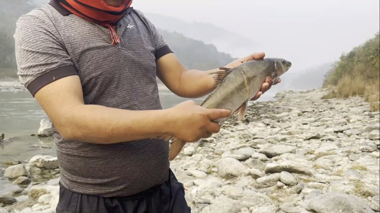 Riverside Camping & Night Fishing Adventure on the Rangeet River ...