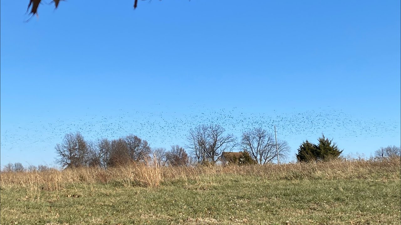 HAPPY THURSDAY TO ALL!😊 MOWING IN THE FARM - YouTube