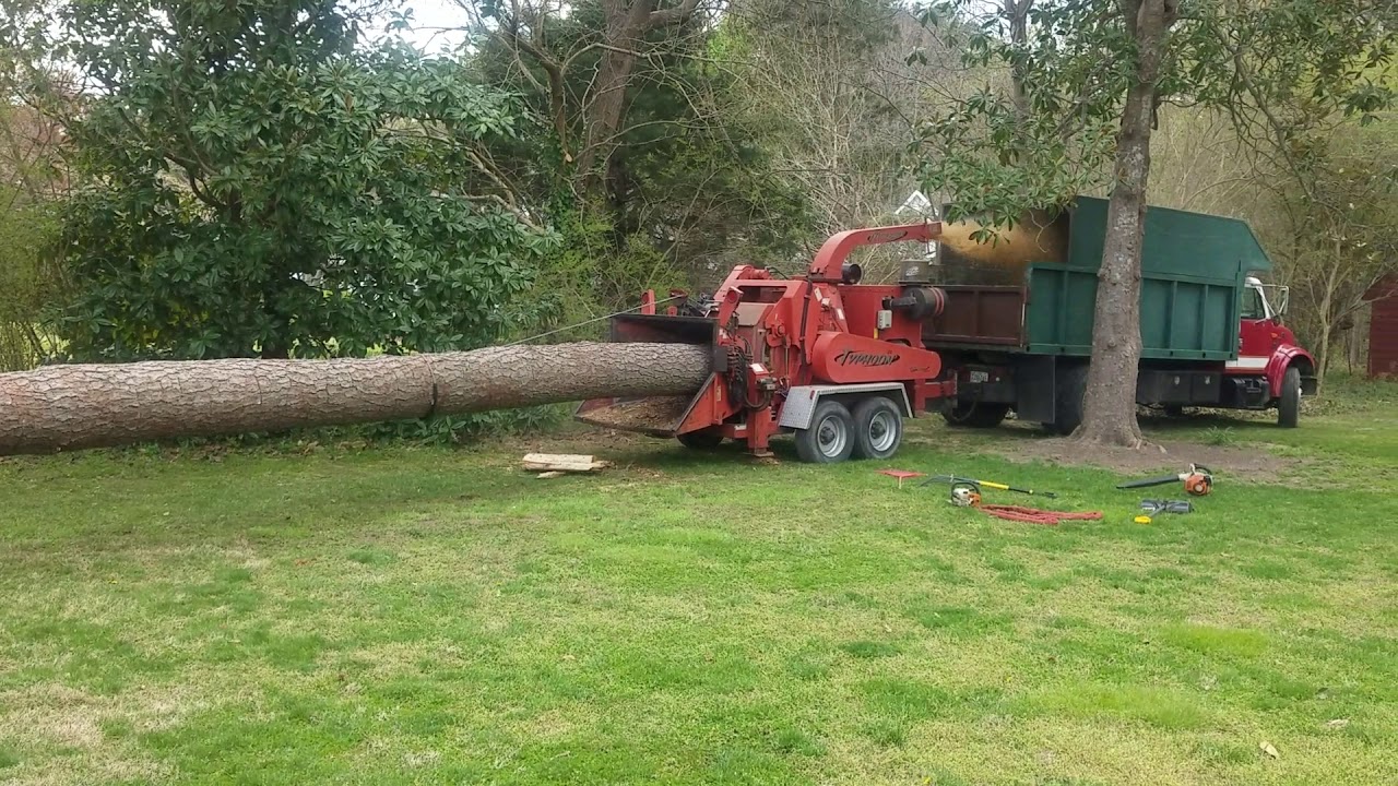 Tree chipping - YouTube