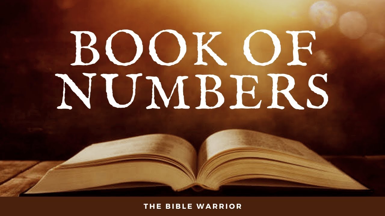 Holy Bible - Numbers 31-33 Chapter Summary - YouTube