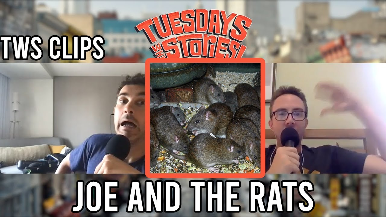 Joe and the Rats - Tuesdays Clips - YouTube