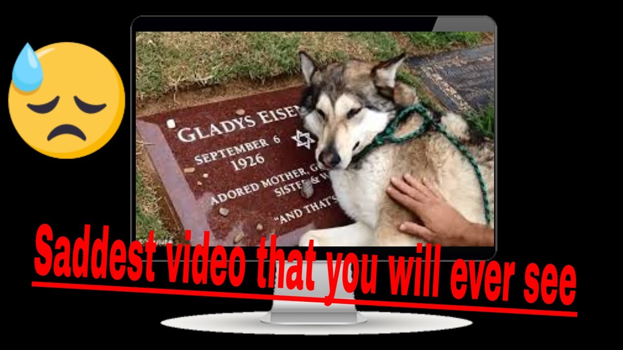 😢Saddest videos that will make you Cry 100% 😭 - YouTube