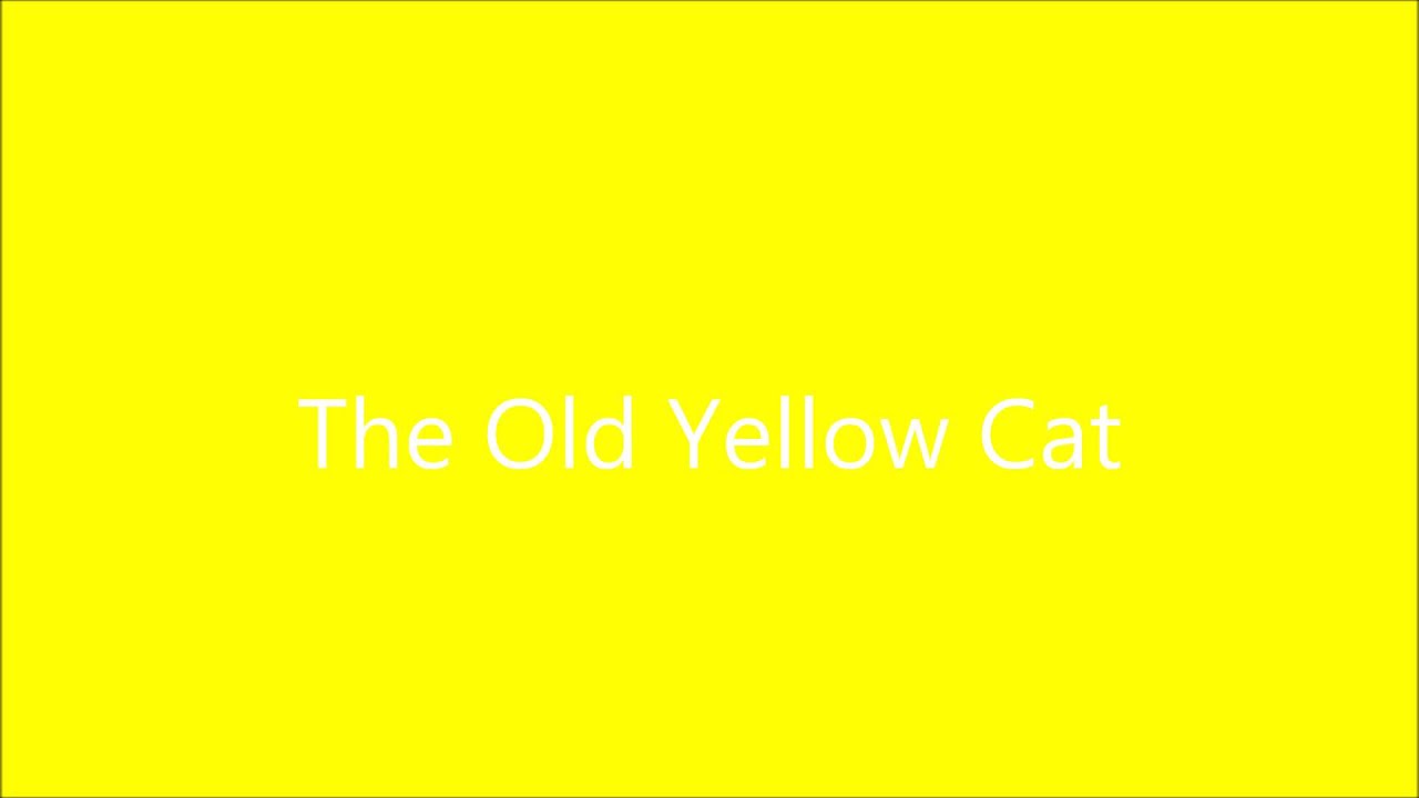The Old Yellow Cat ( Words Incl.) Original Song by Patrick Riley - YouTube