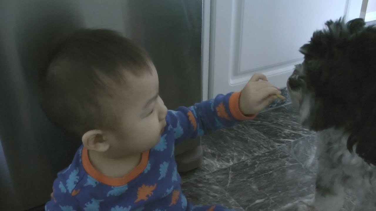 Holden Sharing His Cookie With Bambam - YouTube