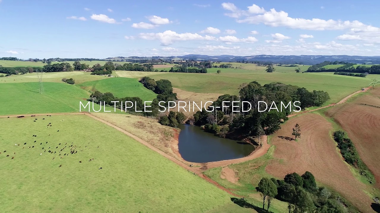 570 Tyringham Road, Dorrigo NSW 2453 - YouTube