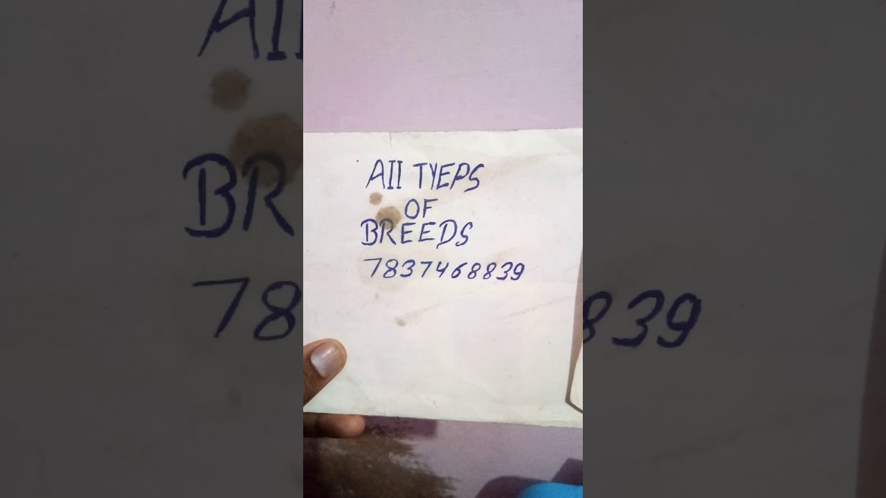 Deepak All Types of breeds - YouTube