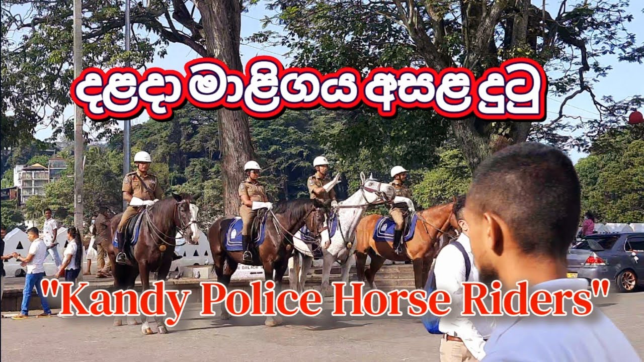දළදා මාළිගය අසළ දුටු | Kandy Police Horse Riders. - YouTube