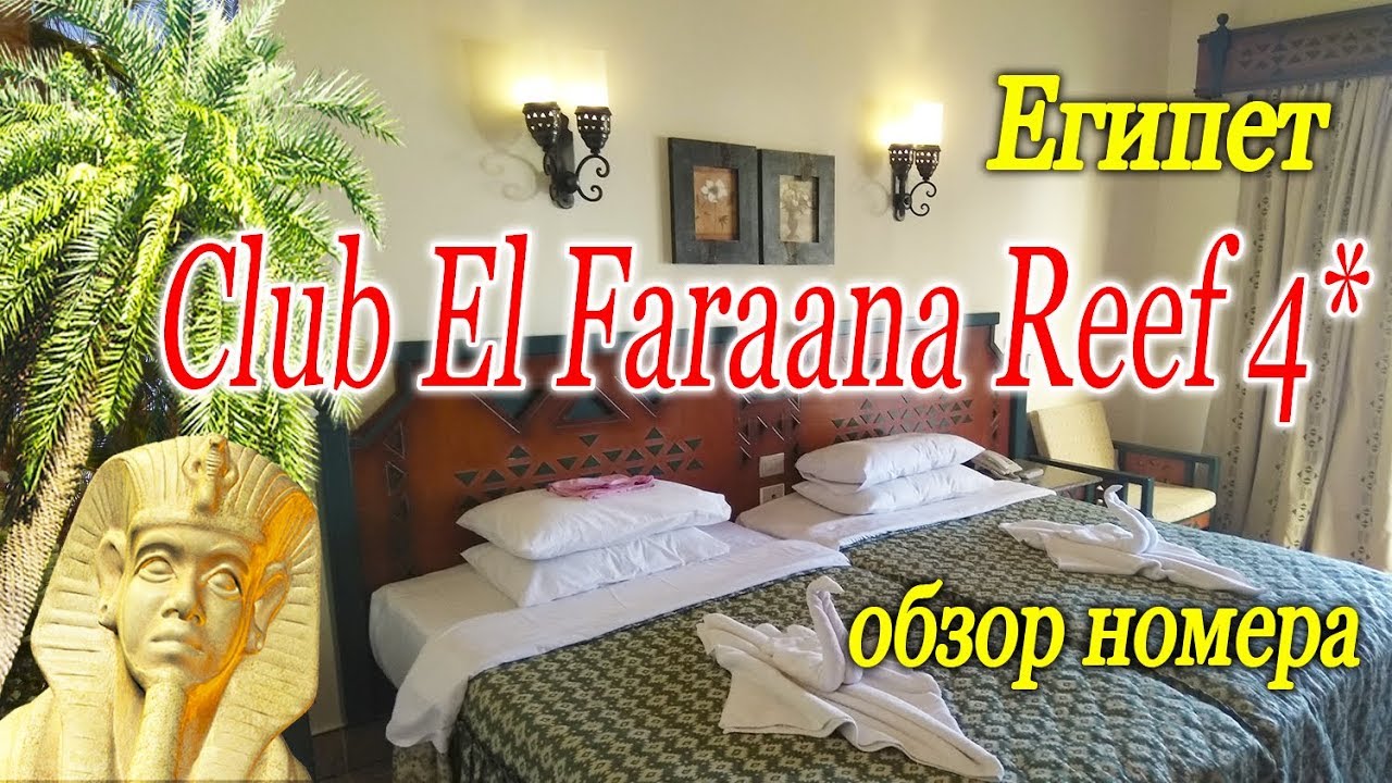 Отзыв Фараана риф 4 обзор номера Club El Faraana Reef - YouTube