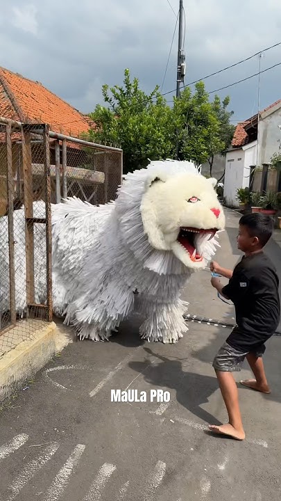 Can macanan Keluar kandang, bocil kena gigit - YouTube