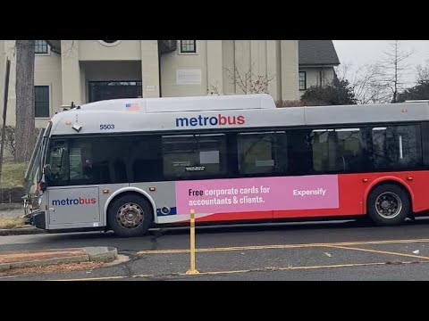 WMATA Metrobus 2020 New Flyer XD60 5503 On Route S2 - YouTube