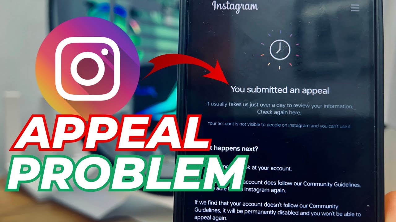 Instagram Appeal Problem Solve || You submitted an appeal instagram ...