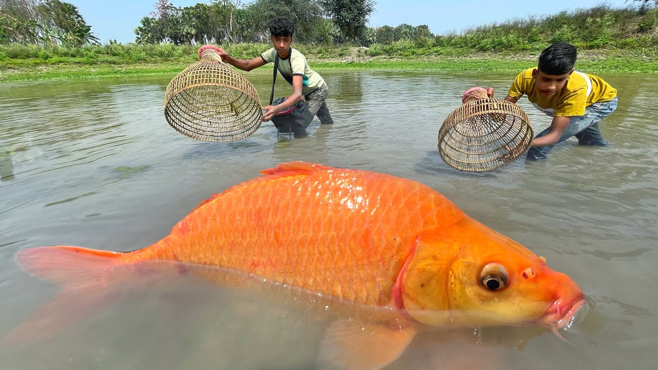 Amazing Boys Catching Fish By Polo Trap In Pond | Fishing Video - YouTube