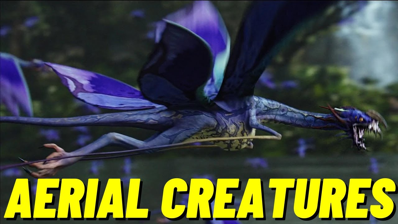 Aerial Creatures Of Pandora | Avatar Explained - YouTube
