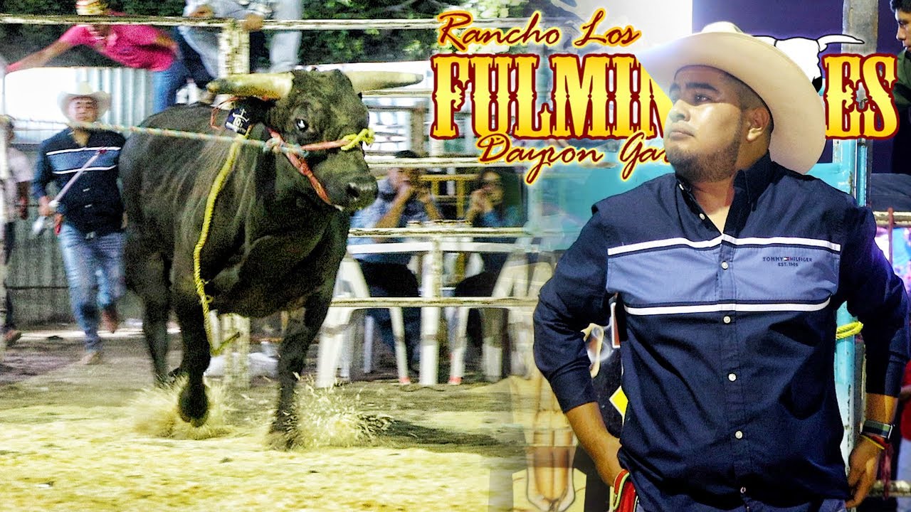 ¡TODO EL PUEBLO PARA VER A LOS TOROS FULMINANTES! en el Platanar ...