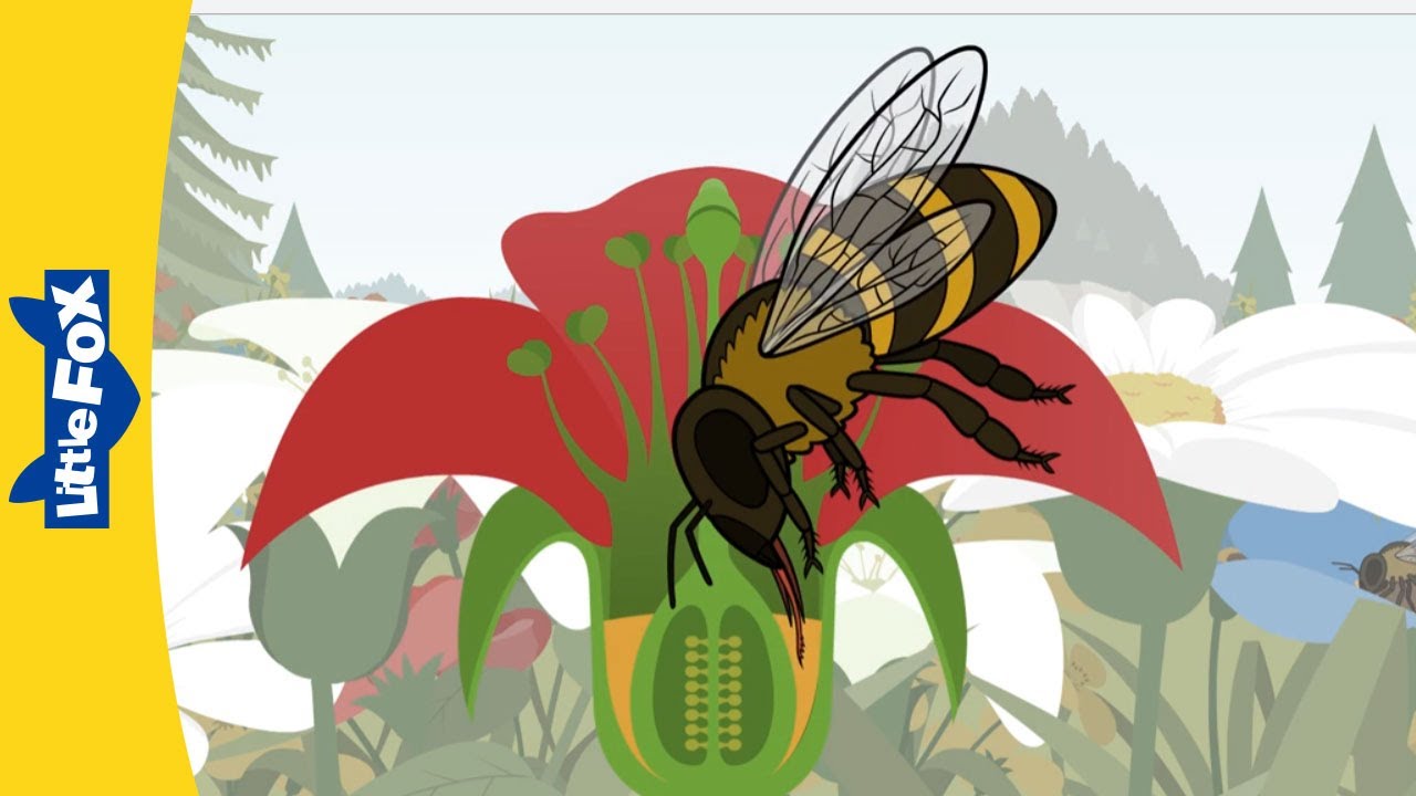 How Worker Bees Make Honey | Stories for Kindergarden - YouTube