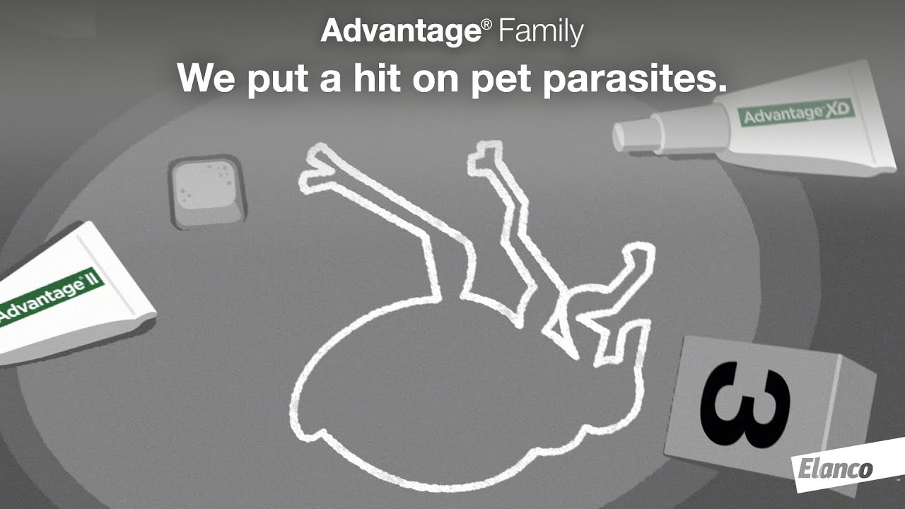 The Advantage® Family: Put a Hit on Pet Parasites. - YouTube