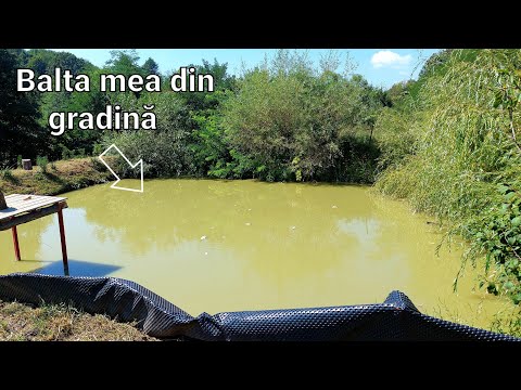 Balta mea din gradină - Cat m a costat construirea lacului 🤔 + Balta mică de rapitori