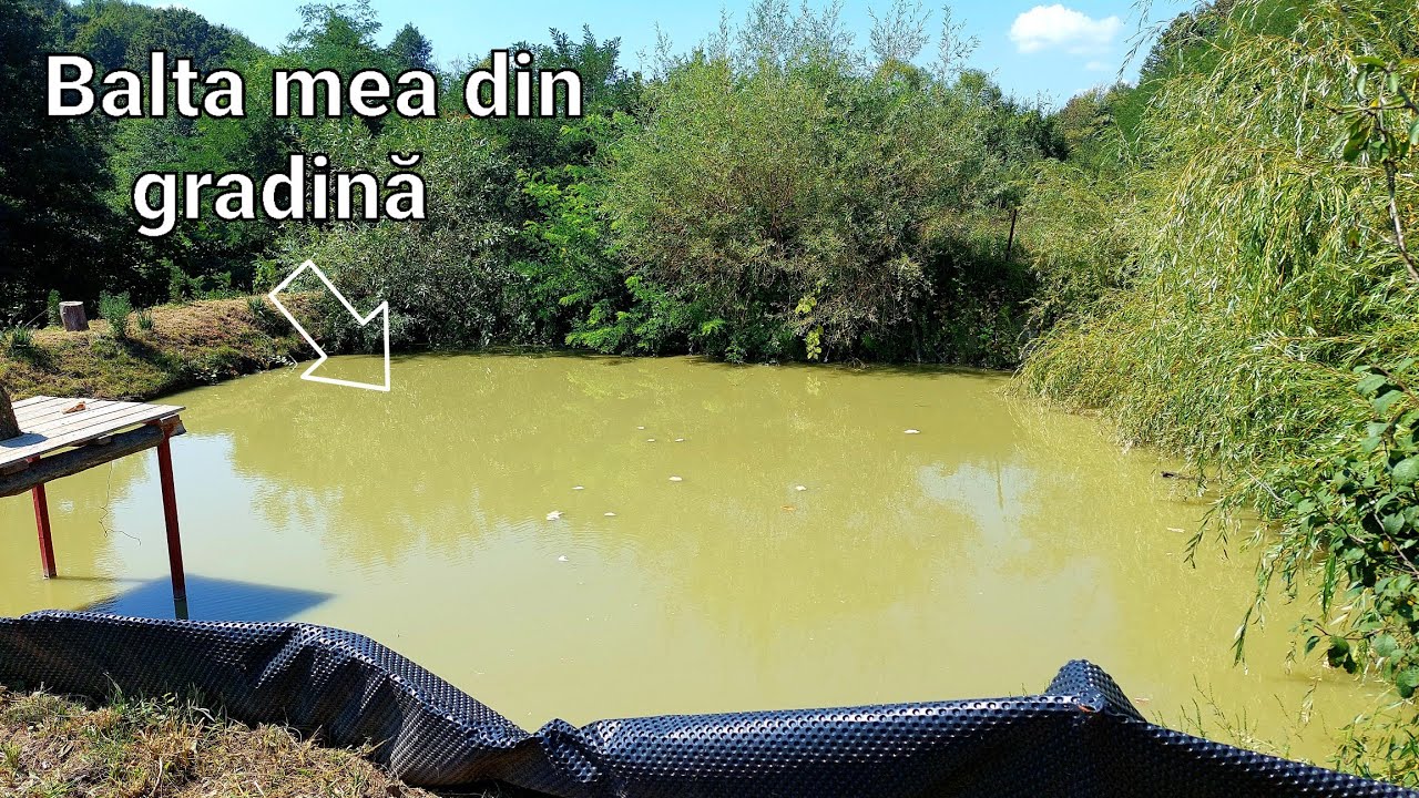 Balta mea din gradină - Cat m a costat construirea lacului 🤔 + Balta ...