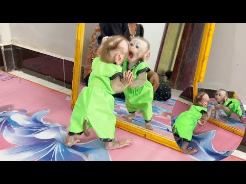 Can't Believe!! Curious NB MODO Funny Lip Smack & FIghting His Self In ...