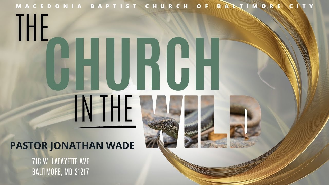 The Church in the Wild | Pastor Jonathan Wade - YouTube