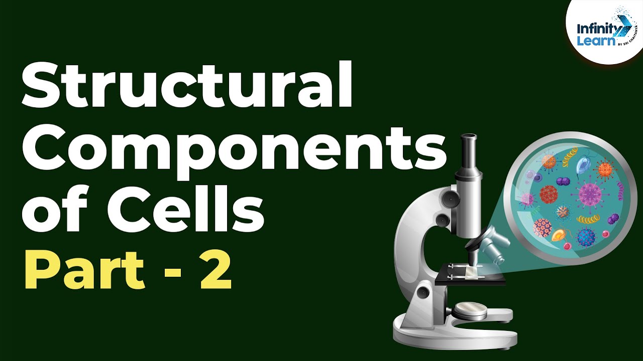 Structural components of Cells - Part 2 | Don't Memorise - YouTube