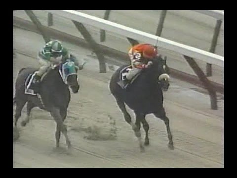 2000 Bold Ruler Handicap - YouTube