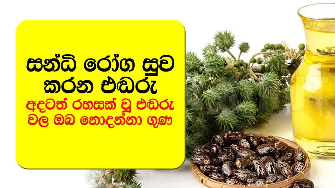 අදටත් රහසක් වූ එඬරු වල ඔබ නොදන්නා ගුණ - Health And Beauty Benefits Of ...
