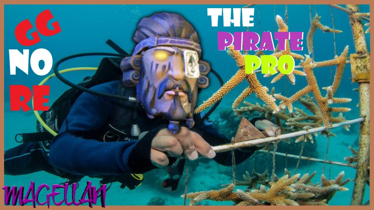 Pirate Pro gets emotional ft. J Willow - YouTube