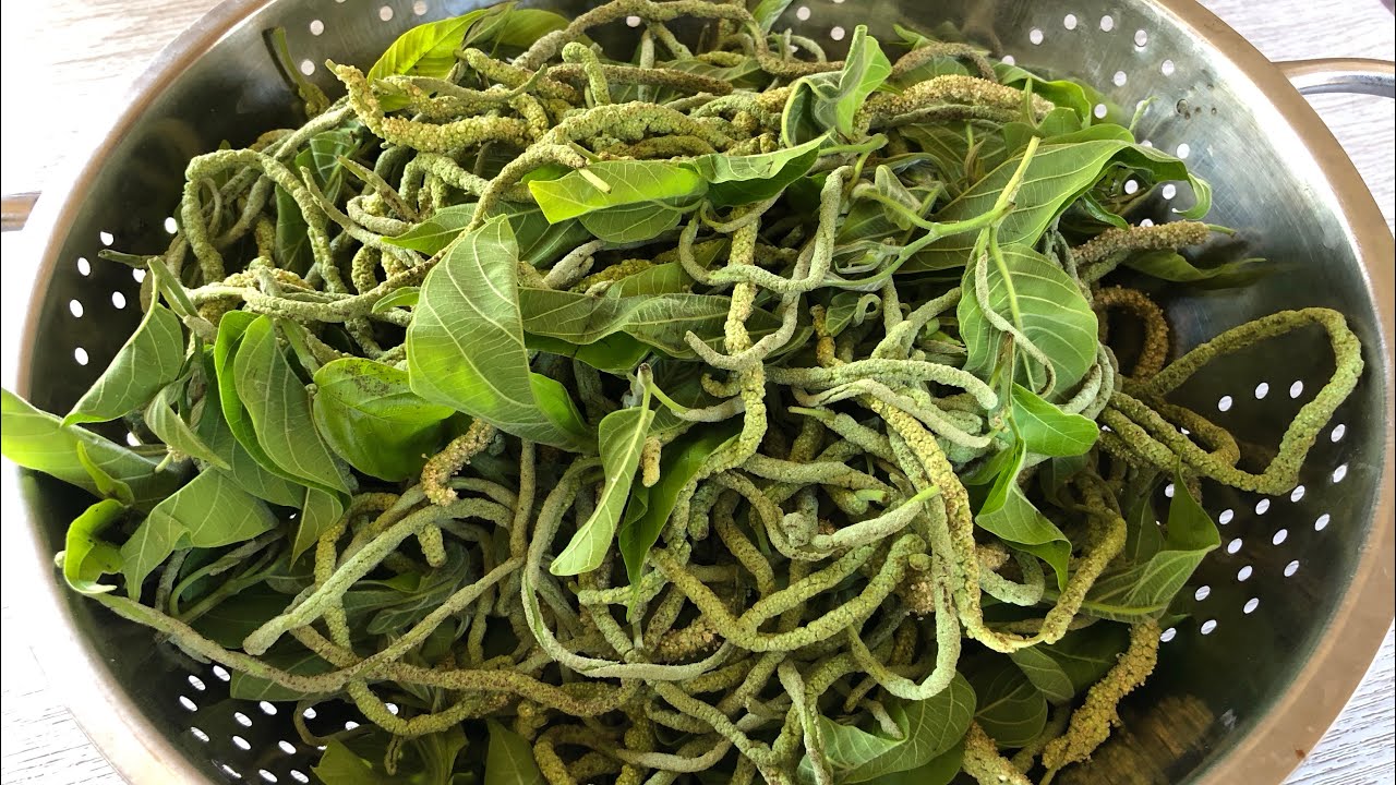 Seasonal lang itong gulay na ito. Kumakain kaba ng himbabao? - YouTube