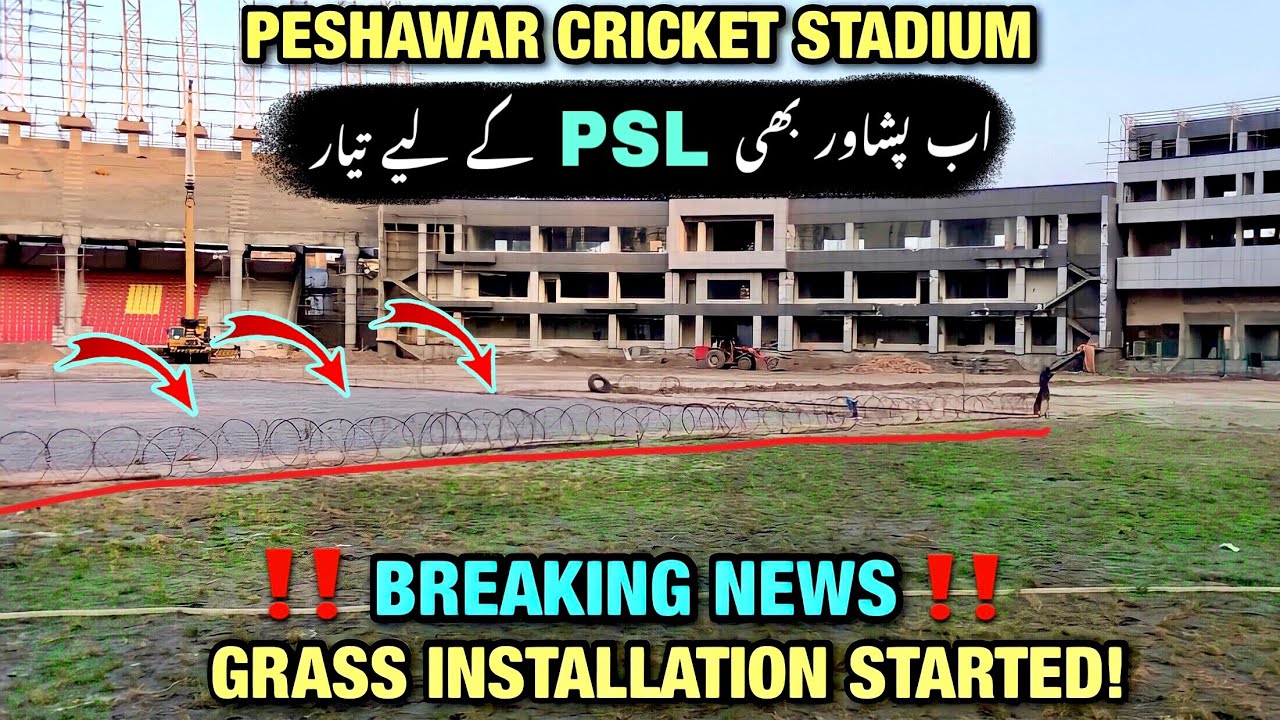 Finally Grass Installation Started 😍 | Peshawar Cricket Stadium Latest ...