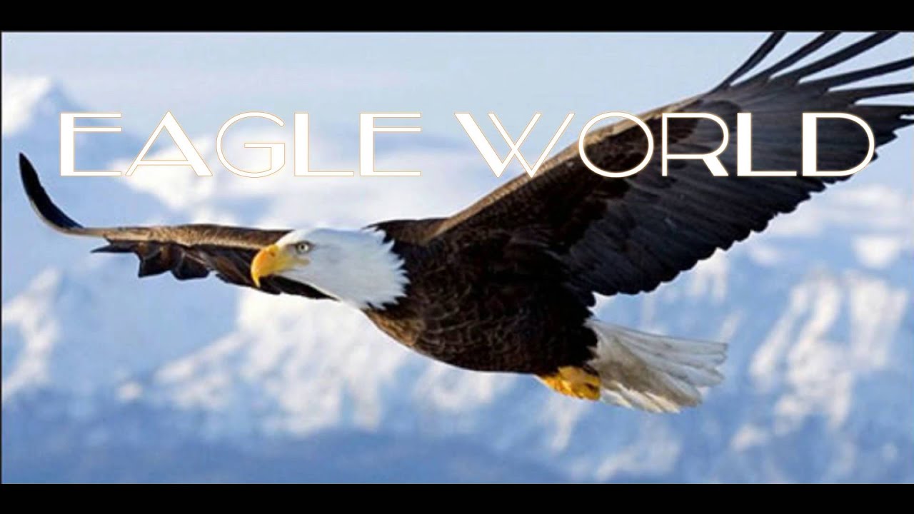 Eagle World - instrumental relaxing - dream music - YouTube