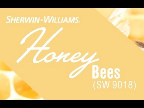 April 2016 Color of the Month: Honey Bees - Sherwin-Williams - YouTube