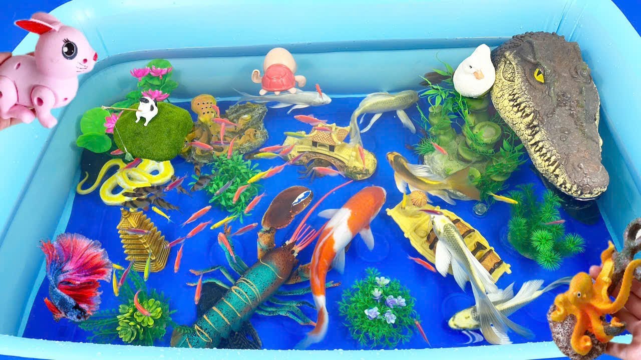 Amazing Put fish in the float,sharks,dolphins,sea creatures,Slipp vakre ...