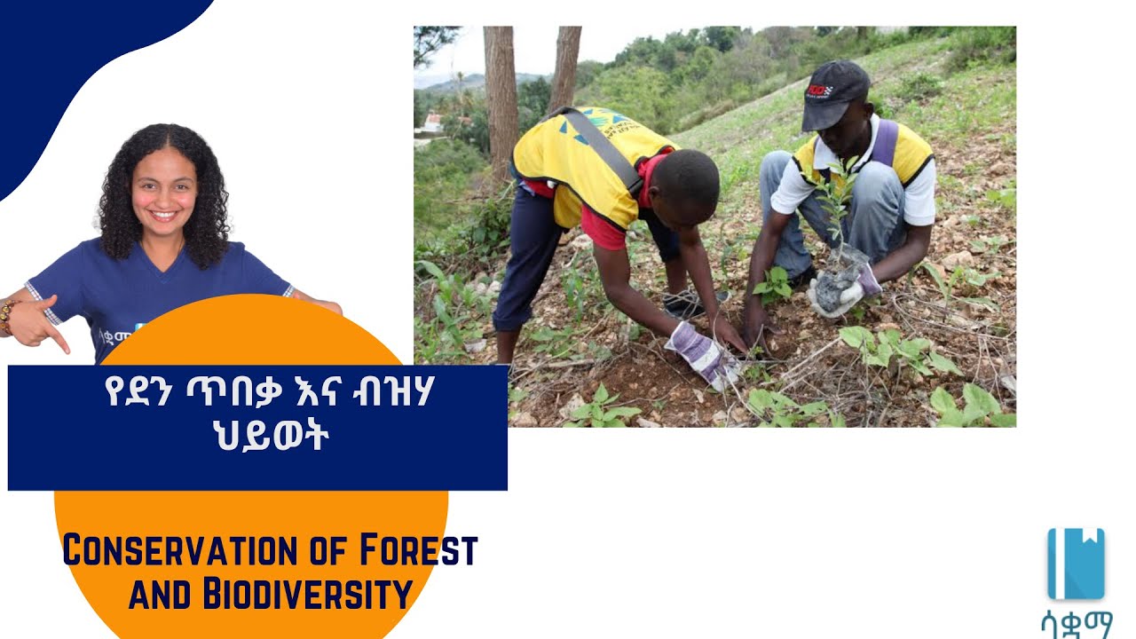 Grade 8 General Science Unit 5፡ Conservation of Forests and ...