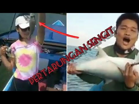 BIKIN GAGAL FOKUS MANCING BERSAMA CEWEK CANTIK