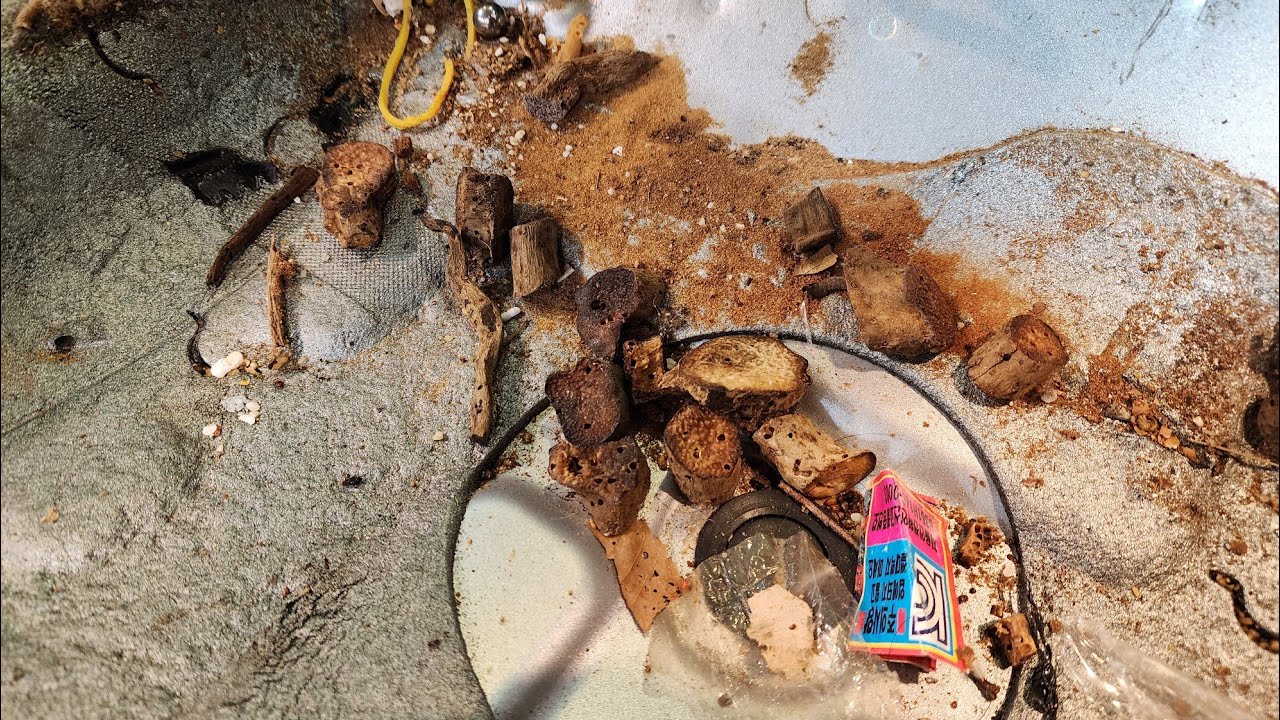 세차이야기 316편 추가 중고구입한 2013년식 아반떼md 이전 운전자는 차를 엉망으로 탔네요 중고구입차량 토탈스팀딥크리닝 스팀보이초량점 권테크 특수세차 시공