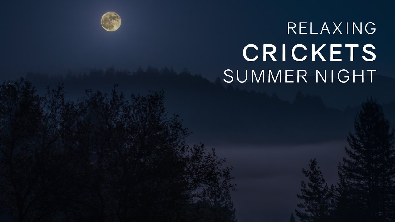 Well Sleep with Crickets Chirping at Night - Free Stress with Cricket ...