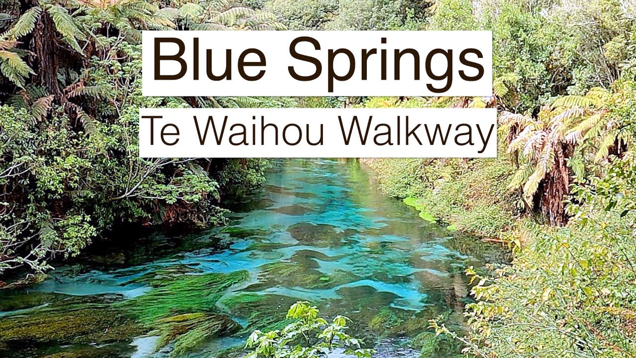 Crystal clear waters! Blue Springs, Te Waihou 🥾🌳🌿💦 - YouTube