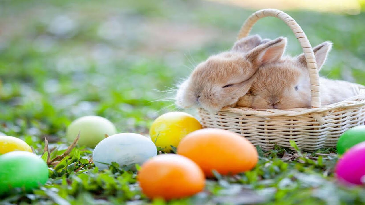 The History of Easter - YouTube